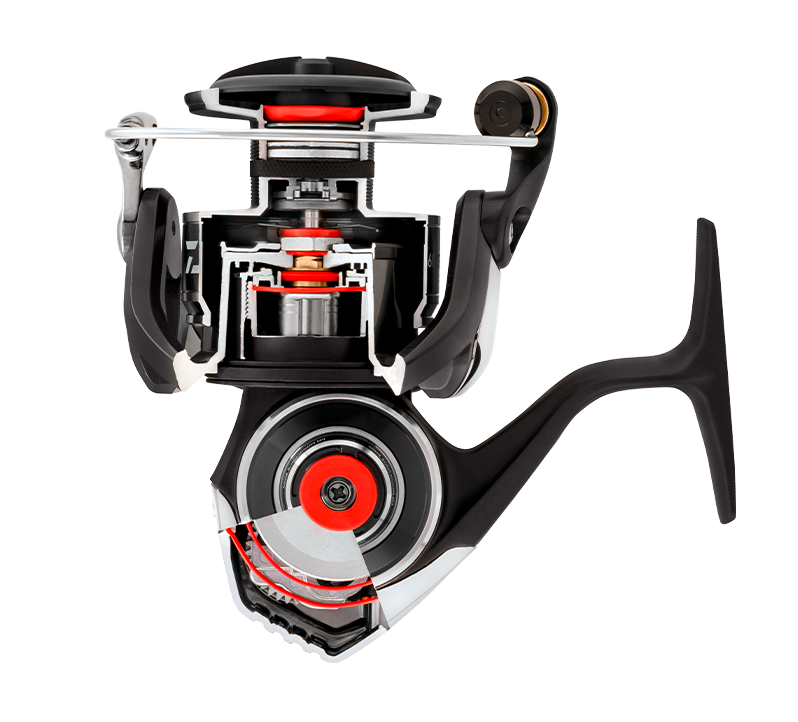 20 BG MQ Spin Reel – Daiwa NZ