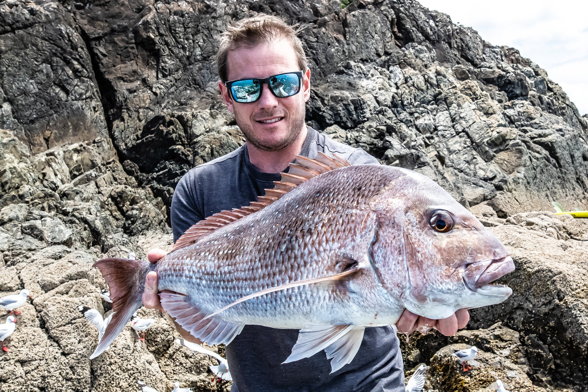 December Fishing Forecast – Daiwa NZ