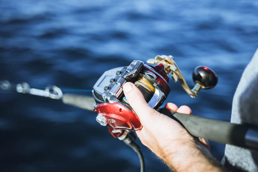 The Complete Guide To Electric Fishing – Daiwa NZ