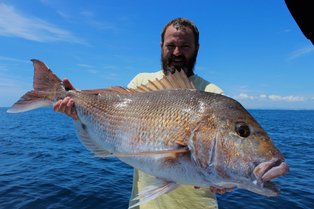 Meet The Crew: Aaron Styles – Daiwa NZ