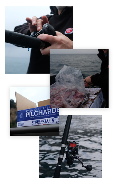 Top Catch Winter Classic – Daiwa NZ